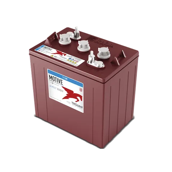 T-105 REG (Only Available in Store) - Battery World Vancouver